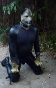 My First Training As A Human Puppy - The Happy Pup