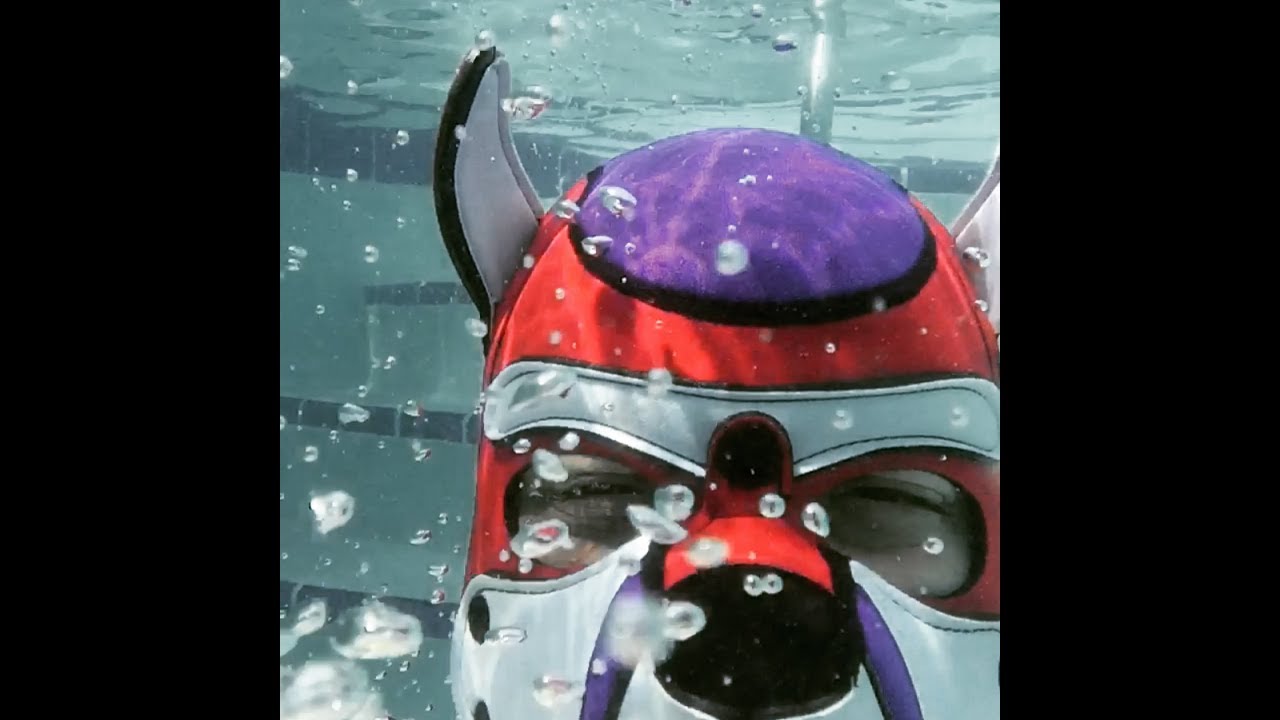 Your Pup Hood As You Expression Of Self - The Happy Pup